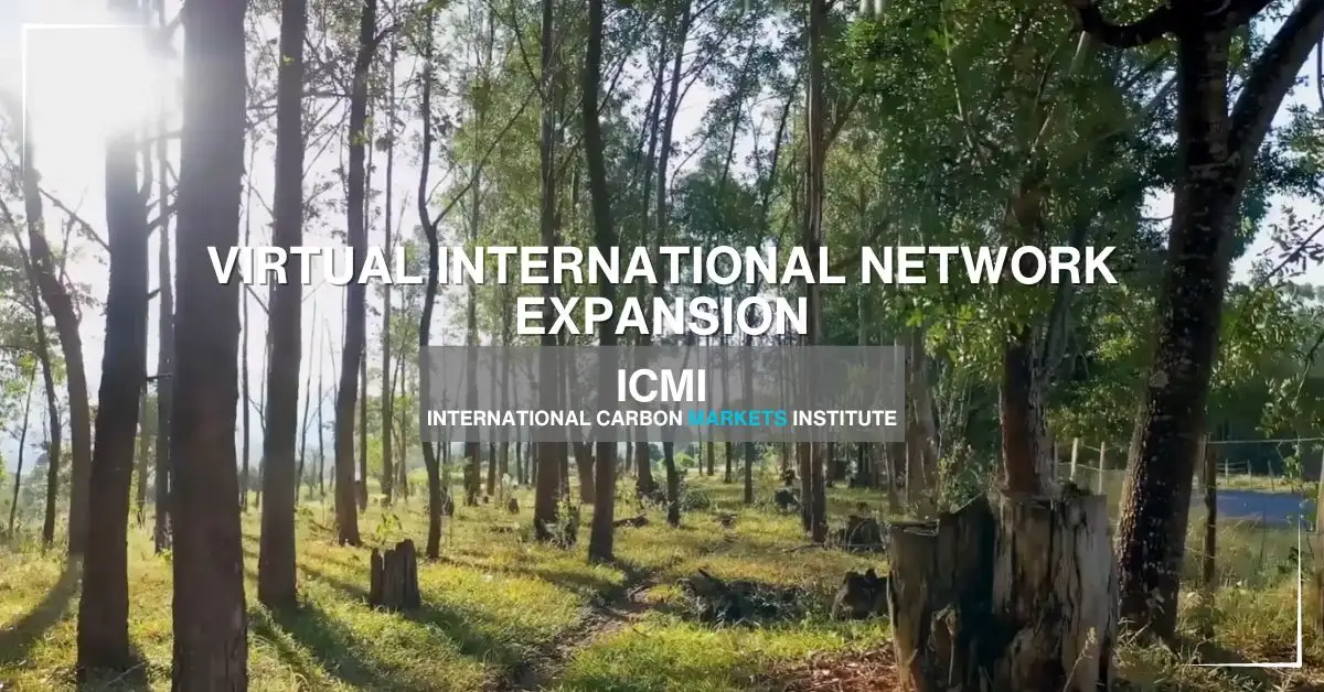 Virtual International Network Expansion | Strengthening Global Carbon ...